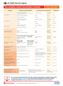 Rolling Out the New MMRV Programme: What Healthcare Staff Need to Know ...